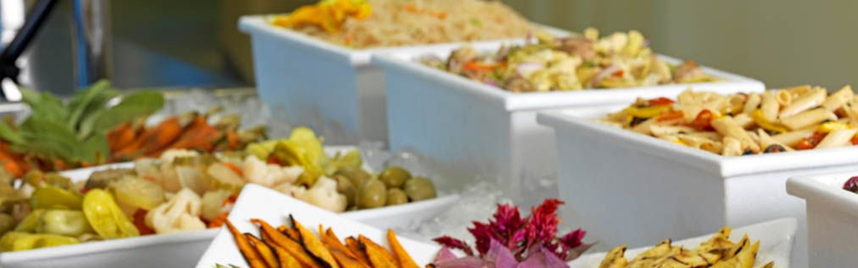 Food Insert Pans (Porcelain)